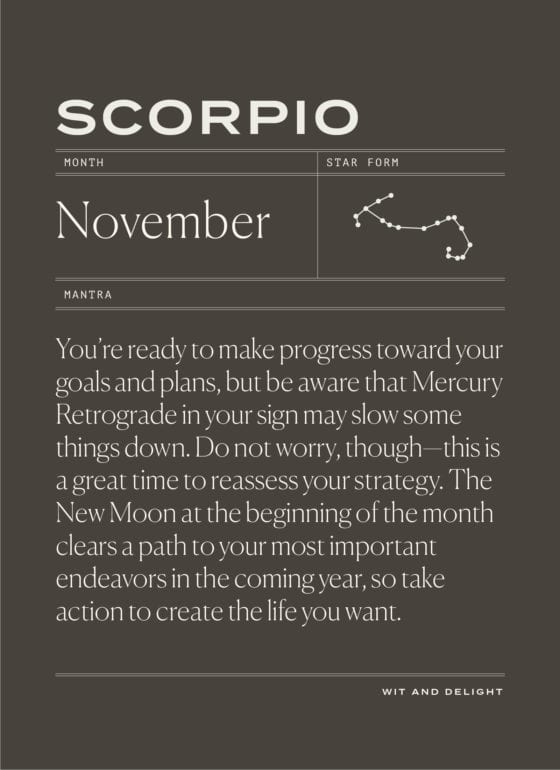 November Horoscopes: Your Shadow Self Hungers | Wit & Delight ...