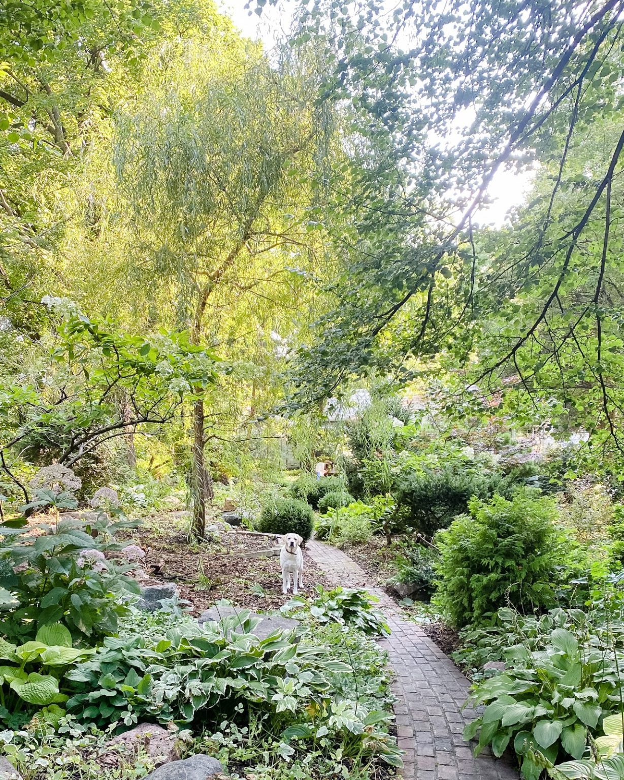 Backyard Garden Ideas