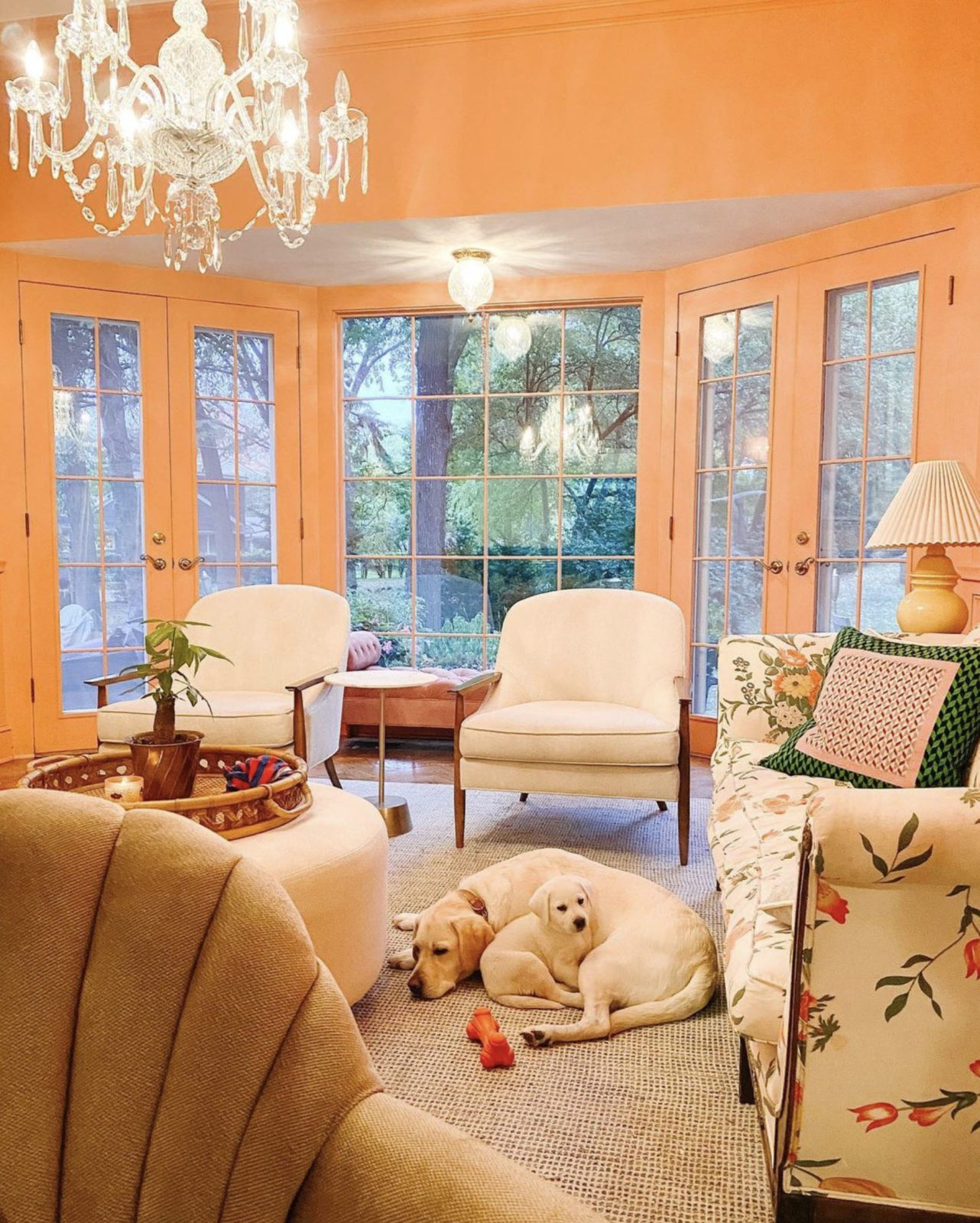 Kate's Picks: 7 Things I Tried in October and Loved | Wit & Delight ...