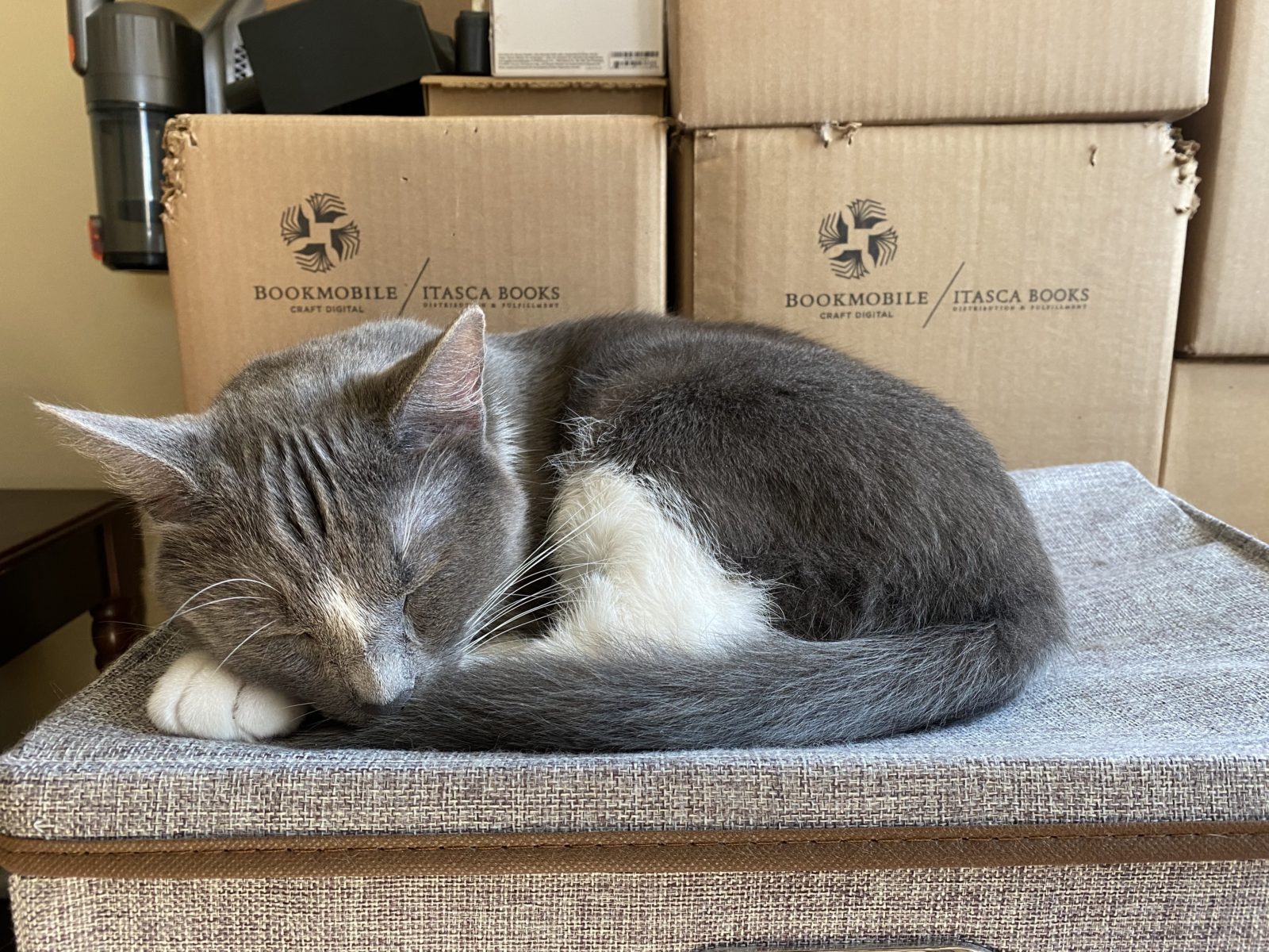 A Realistic Work-From-Home Diary | Wit & Delight | Designing a Life ...