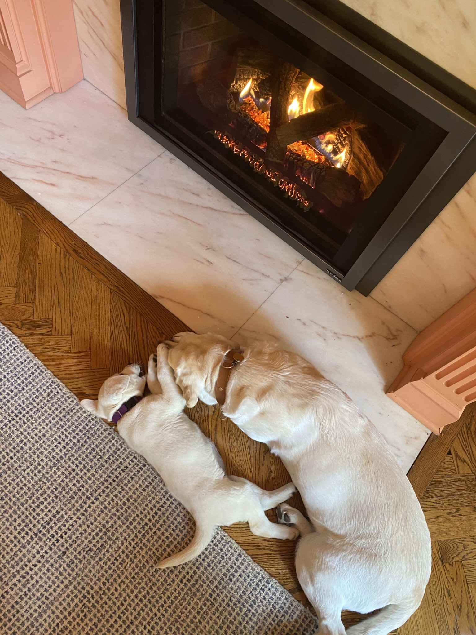 Heat & Glo Fireplace Review: Why We Chose It & What We Love About It