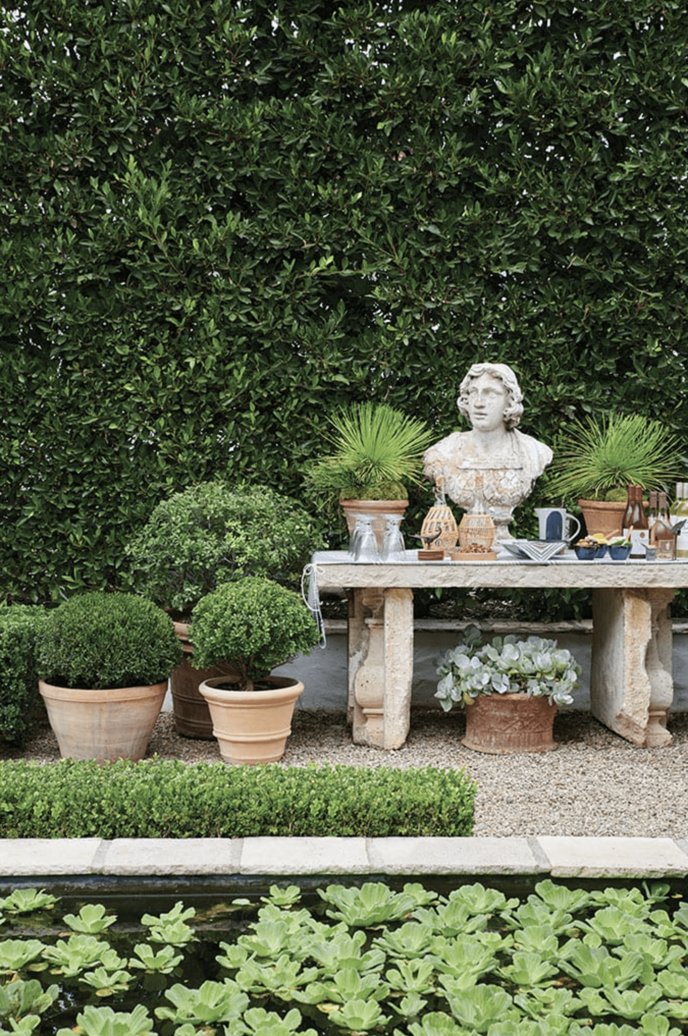 How I Created a Beautiful Container Garden in 4 Simple Steps | Wit ...