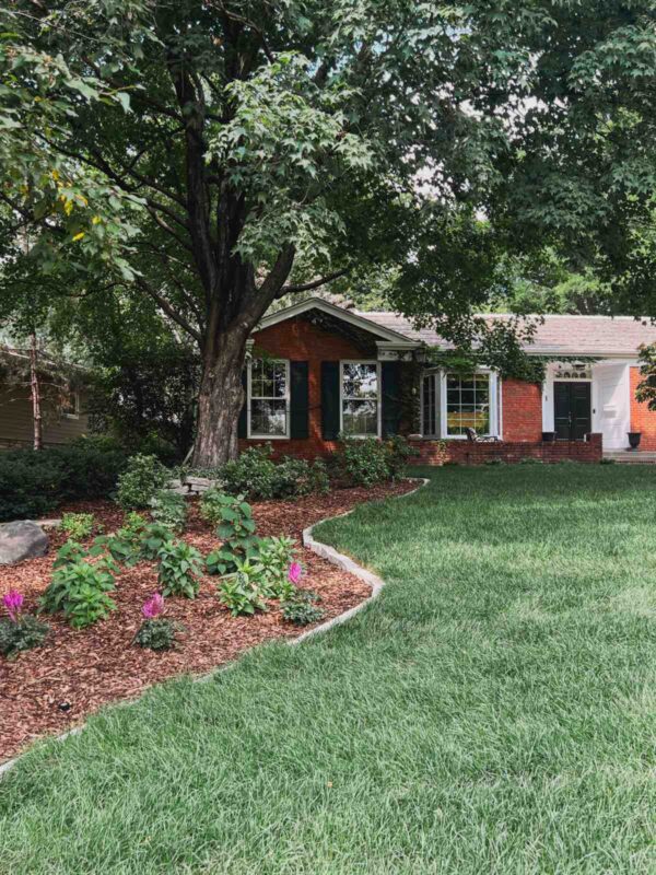 Transforming Our Outdoor Space: A Beginner's Journey With Gardening and ...